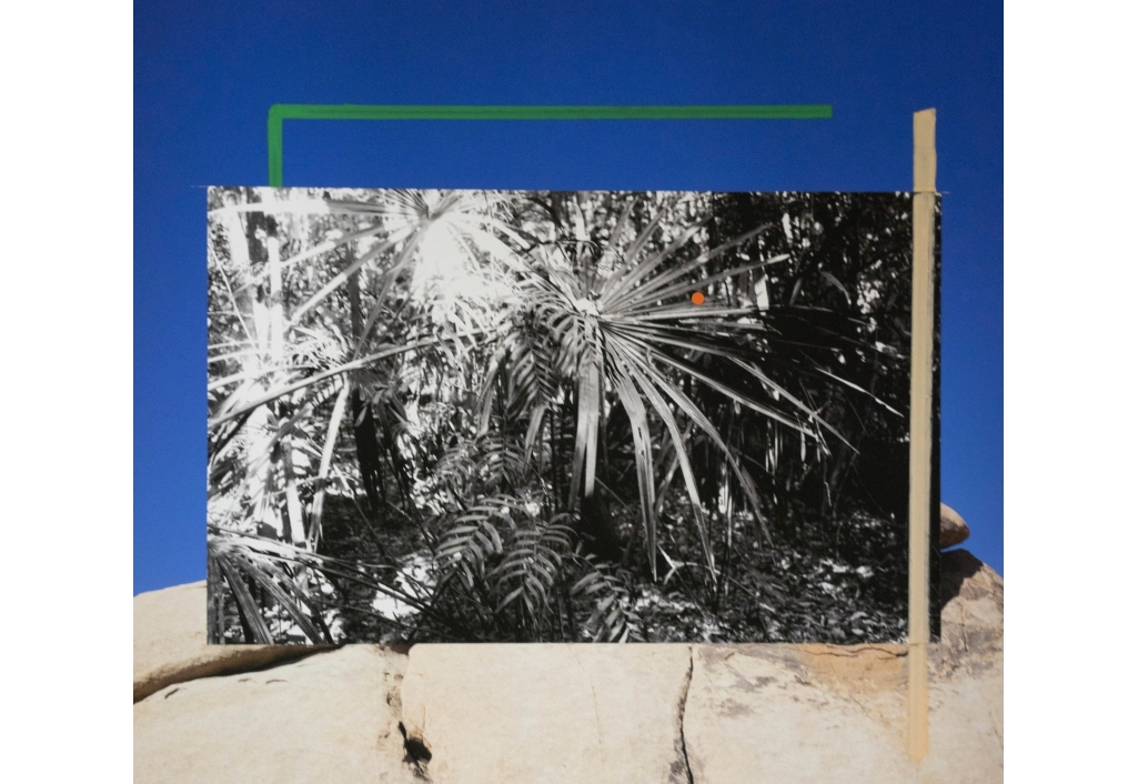 Archival Mind 3 par Alice Quaresma - Amelie, Maison d'art