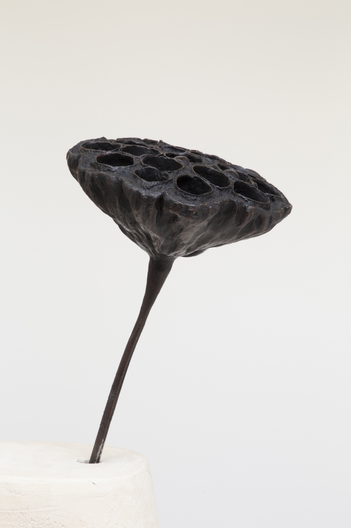 Lotus par Nadine de Garam - Amelie du Chalard