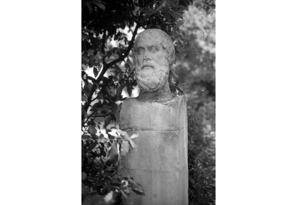 Hermae VIII par Charlotte Bovy - Amelie, Maison d'art