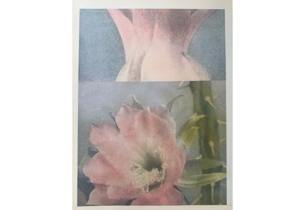 Dress Code 22 par Julie Wolfe - Amelie du Chalard