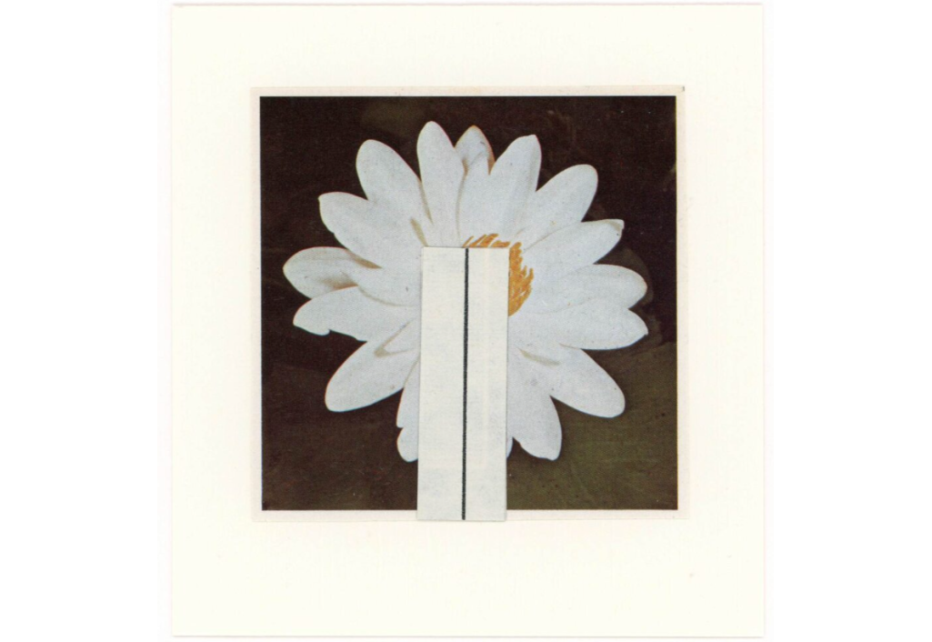 Lotus par Vesna Vrdoljak - Amelie du Chalard
